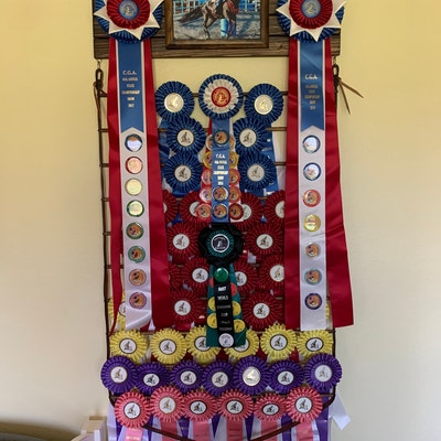 Personalized Show Ribbon Display - Etsy