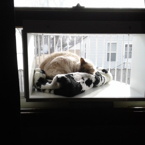 Cat Solarium Sunroom Package: the Ultimate Cat Window Box. This Catio ...