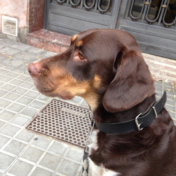 Isle of Skye Art, Scalpay Sunset, Isle of Skye, Scottish Highlands ...