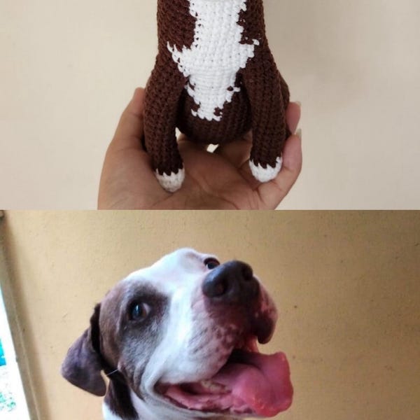 Custom Stuffed Dog, Custom Dog Plush, Custom Crochet Dog, Custom Pet ...