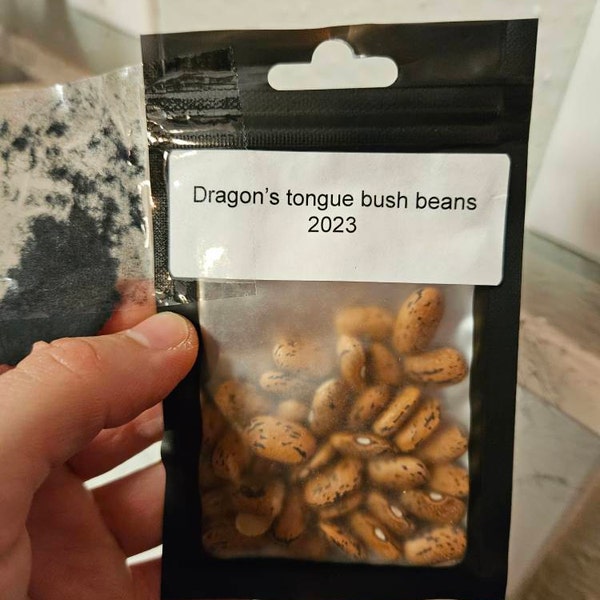 Watermelon Radish chinese Red Meat Radish Seeds - Etsy