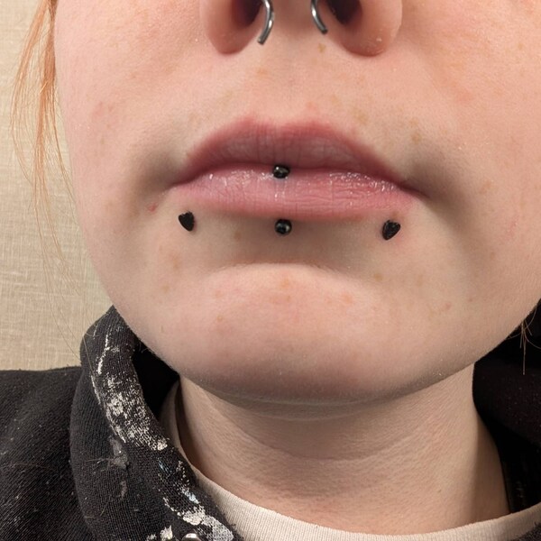 16g Black and Gold Spike Horseshoe, Lip Ring Piercing, Daith Cartilage ...