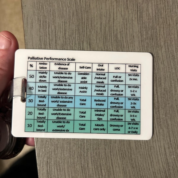 Hospice Nursing Badge Buddy: PPS & FAST Dementia Scales - Etsy