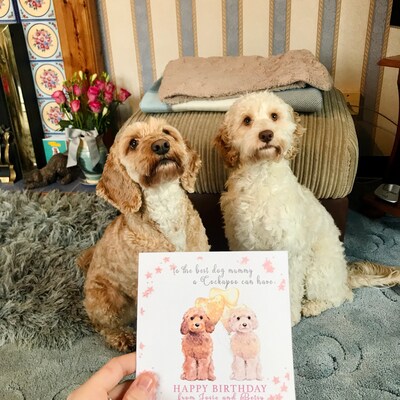 Cockapoo Dog Mummy Birthday Card, Cockapoo, Dog Birthday Card ...