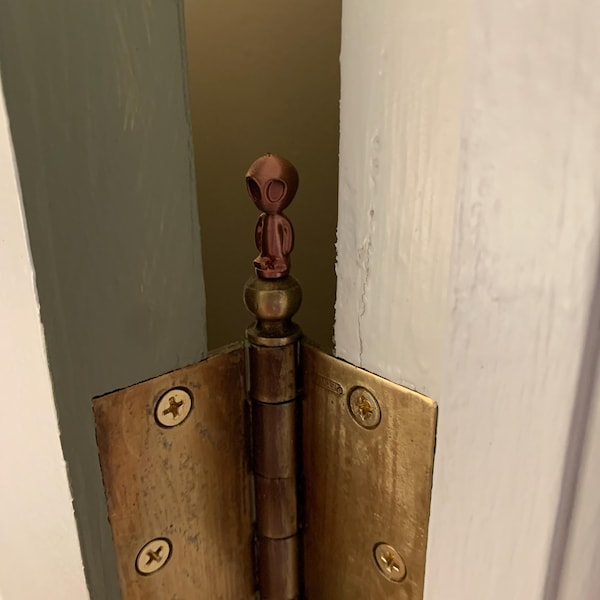 TURTLES - Three Hinge Head Decorative Toppers, Magnetic Door Hinge ...