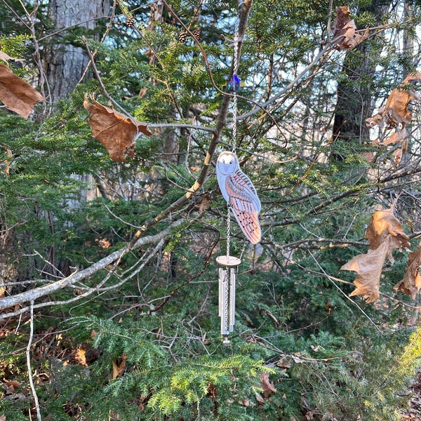 Hedgehog welcome Wood Sign. Original Art , Hand Painted. A Donation ...