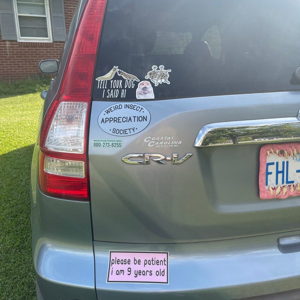 Possum Queen or King of the Trash Shiny Sticker. Cute Opossum Princess ...