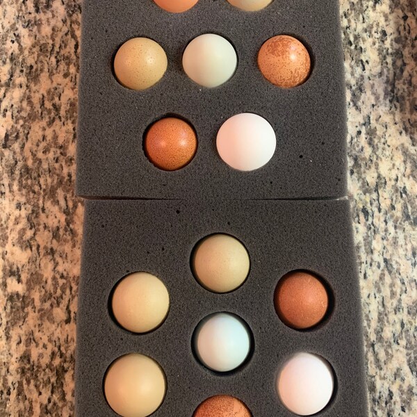 Chick or Poultry Shipping Boxes (5 Count) - Etsy