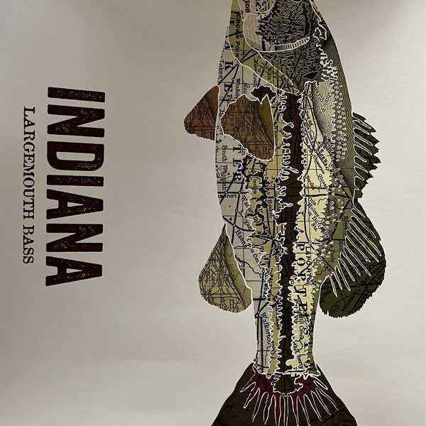 Colorado State Fish, Map Art, Nature Outdoor Art, Vintage Map Art, Art ...