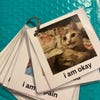 Silly Cat Themed Communication Cards (AAC, Nonverbal Aid, Autism ...