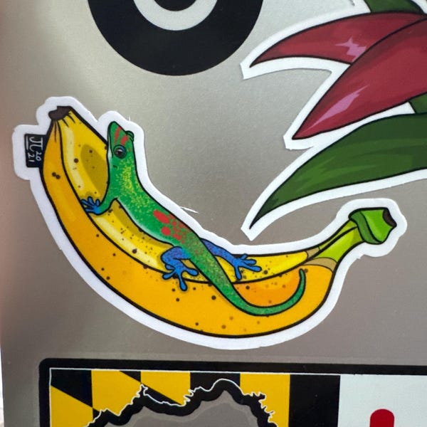 Western Hognose Snake Sticker - Etsy