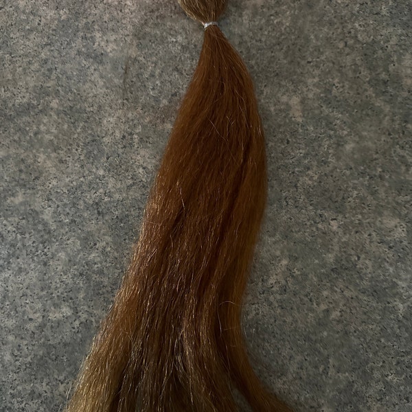 Mane Hair Extensions for Horses (perfect for Parties, Parades & Shows ...