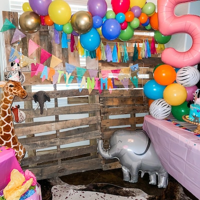 Party Animal Backdrop Party Animal Balloon Garland Party Animal ...