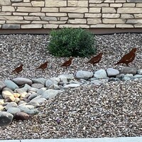 UTV Rzr-side by Side Sign RZR Wall Sign-gift for Him Side by - Etsy Canada