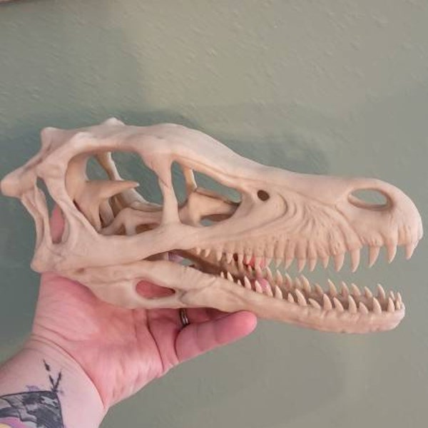 Velociraptor Replica Skull 3D Printed - Etsy