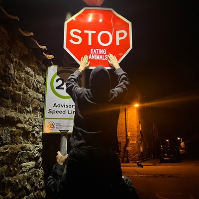 Vegan Sticker Animal Activism is a Moral Obligation Sticker Activist ...