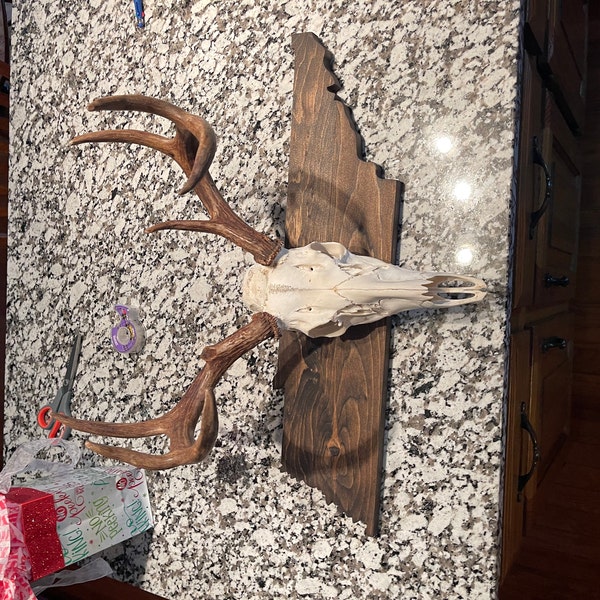 Tennessee Rustic Wood State, Wooden Tennessee State, Rustic Tennessee ...