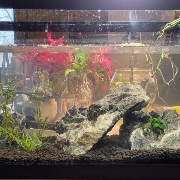 75+ Gallon Aquascape Decor SOUL CANYON Aquarium Dragon Rocks Nature for ...