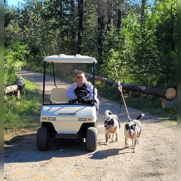 K9 Copilot® - Golf Cart Tether - Etsy