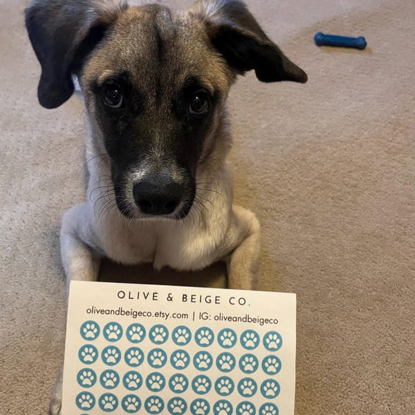 Internet Symbol Stickers Tiny | Pay Bill Reminder Dots | Mini Wifi Logo ...