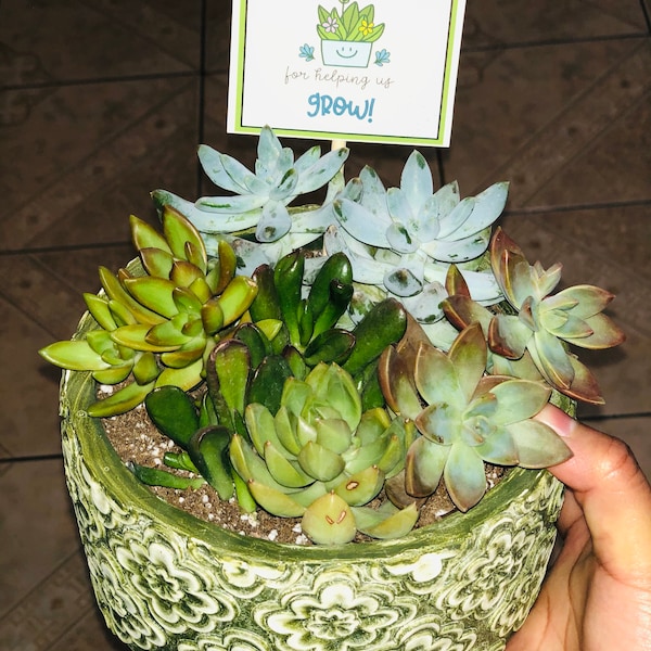 Teacher Appreciation Gift Tags Printable, Thank You for Helping Us Grow ...