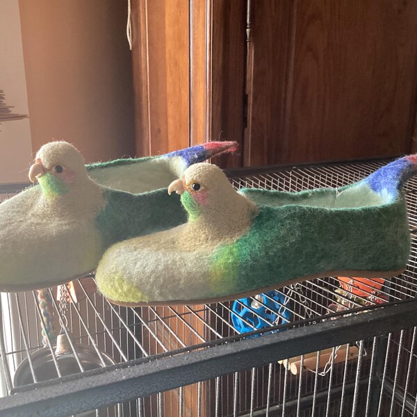 Conure Bird Custom Slippers, Eco Wool Flat Shoes, Natural, Felting ...