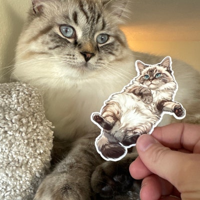 Himalayan Cat Sticker for Women, Cute Cat Gifts for Cat Lovers ...