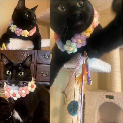 Adjustable Cute Crochet Soft Ribbon Kitten Collar Pet Costume Cat ...