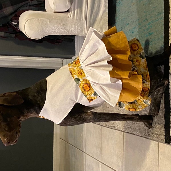 Isabella Dog Dress -3X- Sewing Pattern PDF, Big Dog Clothes Pattern ...