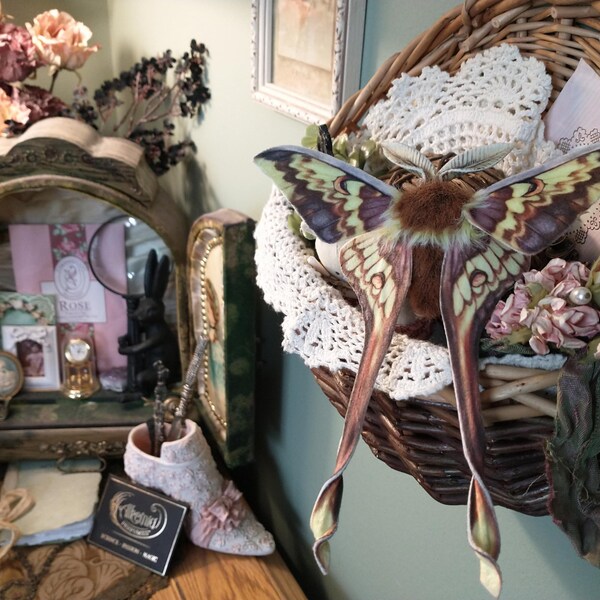 Flower Mantis Hair Claw Clips Spiny Flower or Umbrella Mantis! - Etsy