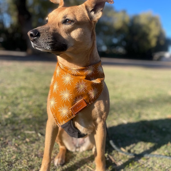 Pomsky (or Select Different Breed) Outline - 1 1/4" Custom Pet Id Tag ...