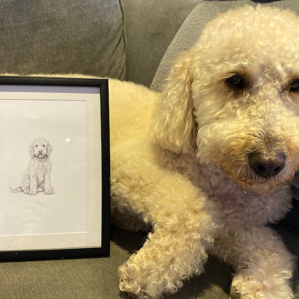 Goldendoodle Print | Doodle Dog Sketch | PRINTABLE Wall Art | Pet ...