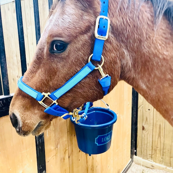 Name Plate Decals | Size 3x6 | Horse Bucket Labels | Vinyl Name Plate ...