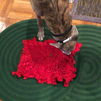 Custom Colors LARGE 16x13 Snuffle Mat Rooting Rug Canine Dog Pig Pet ...