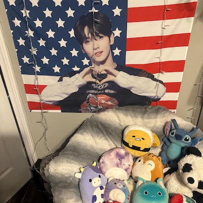 Enhypen Jake Wearing Hoodie Flag Banner, Enhypen Jake American Tapestry ...