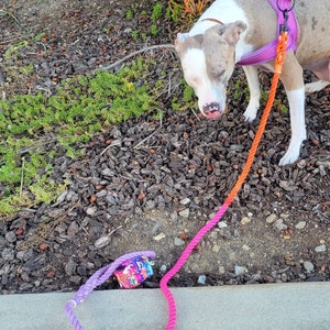 Biothane® Long Line Dog Leash 5/8 Inch Width Extra Long - Etsy