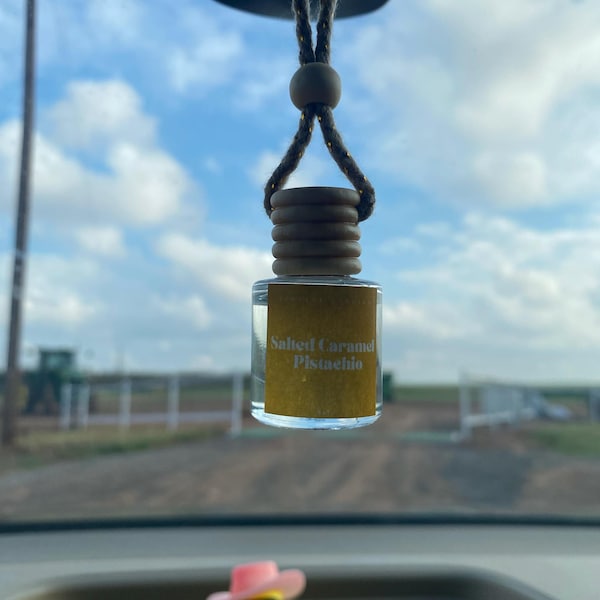 Citrus Car Diffuser Hanging Car Freshener Oil Diffuser for Car ...