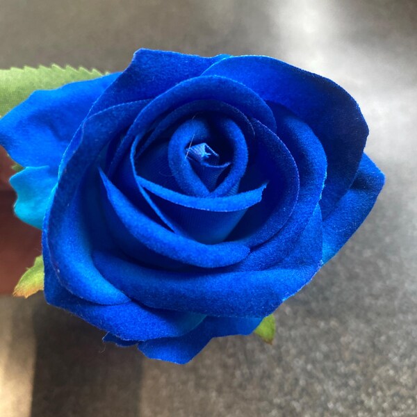 58cm Pumpkin, Squash & Pinecone Autumn Pick - Etsy UK