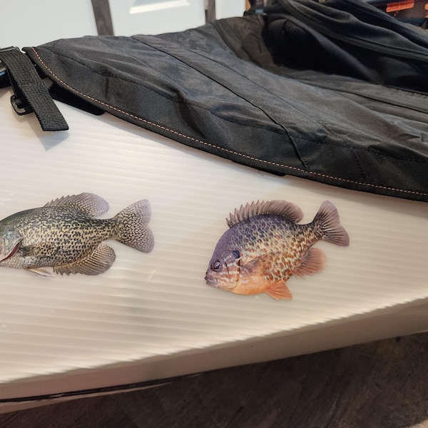 Brook Trout Replica Duo Wall Art -19 Inch Realistic 2D (flat) Metal ...