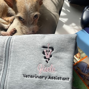 Veterinary Assistant Shirt, Veterinary Medicine Symbol, Pullover ...