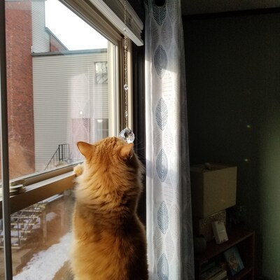 Gold Dripping Gem Crystal Suncatcher, Rainbow Maker, Graduation Gift - Etsy