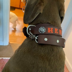 Firefighter Dog Collar Fireman Concho Dog Collar with Name | Etsy