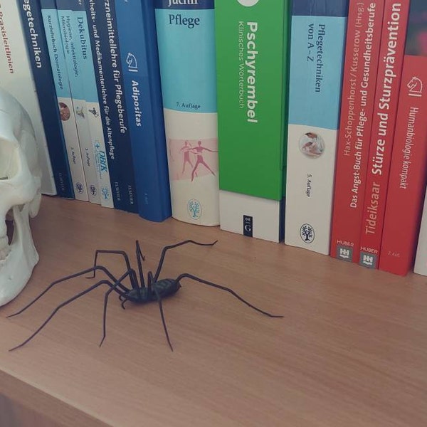 Giant Plastic Spider as Decoration | Double Sized Realistic Giant House ...