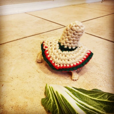Mariachi Sombrero Turtle/tortoise Costume - Etsy