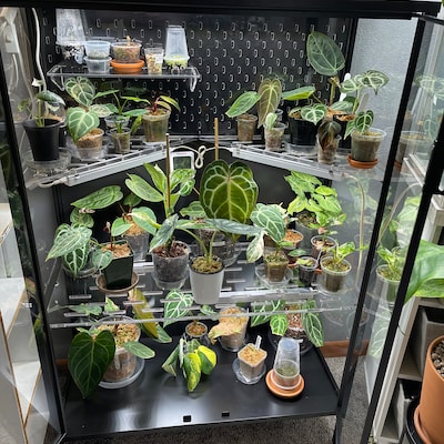 Milsbo Tall Side RISER Ikea Acrylic Shelves greenhouse - Etsy