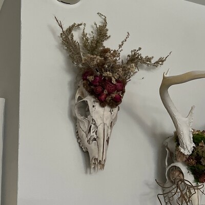 Deer Leg Bones Set of 4 - Etsy