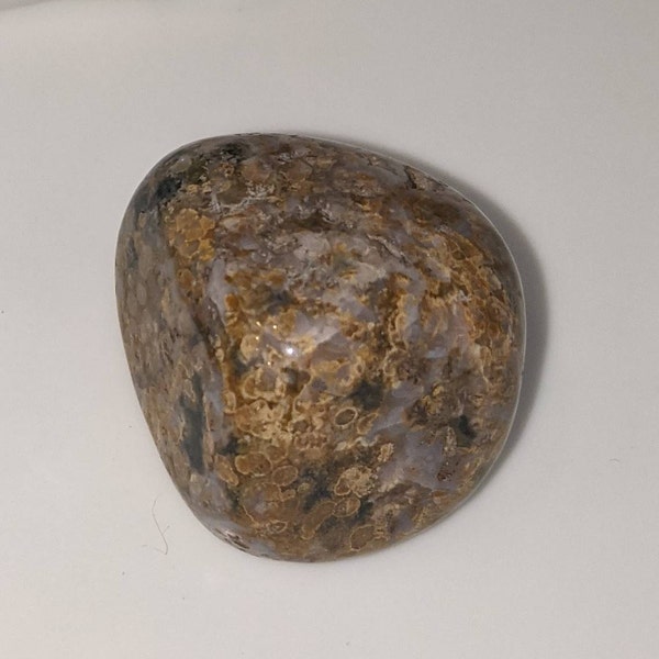 Ocean Jasper Tumbled Gemstones-tumbled Ocean Sea Jasper-polished Ocean ...