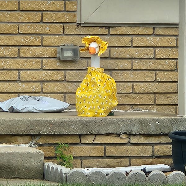 Lacy Yellow Bees With Lace. Goose Clothes - Etsy