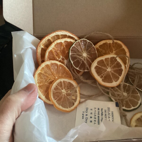 Annotation Bookmark Kit - Annotation Kit - Book Annotating - Book ...