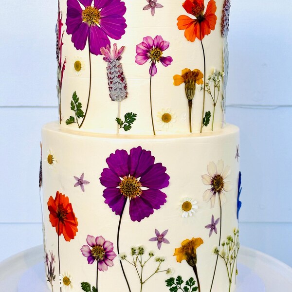 120 Edible Pressed Flowers, Pastel Cupcake Blend, Organic Foodsafe Chem ...